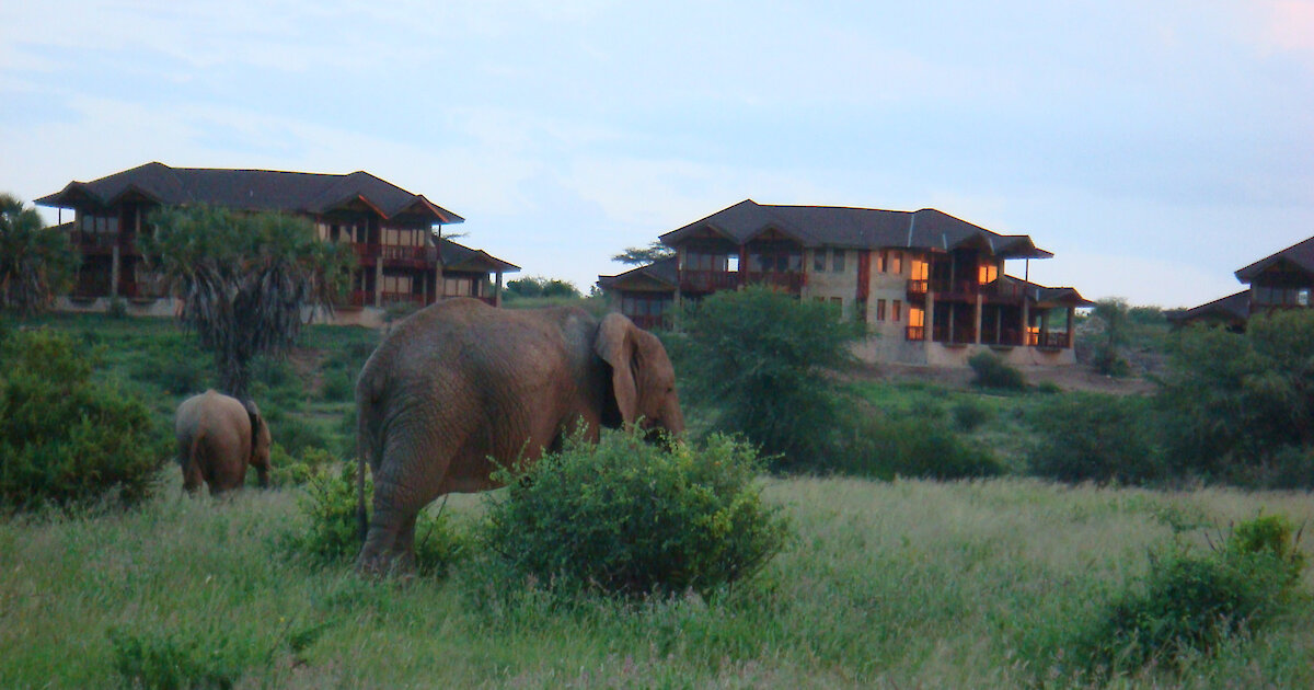Samburu Simba Lodge | Akwaba Afrika Reisen