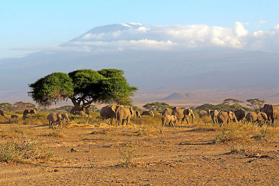 Selbstfahrerreise nach Kenia - Kenias Süden auf eigene Faust | Akwaba ...