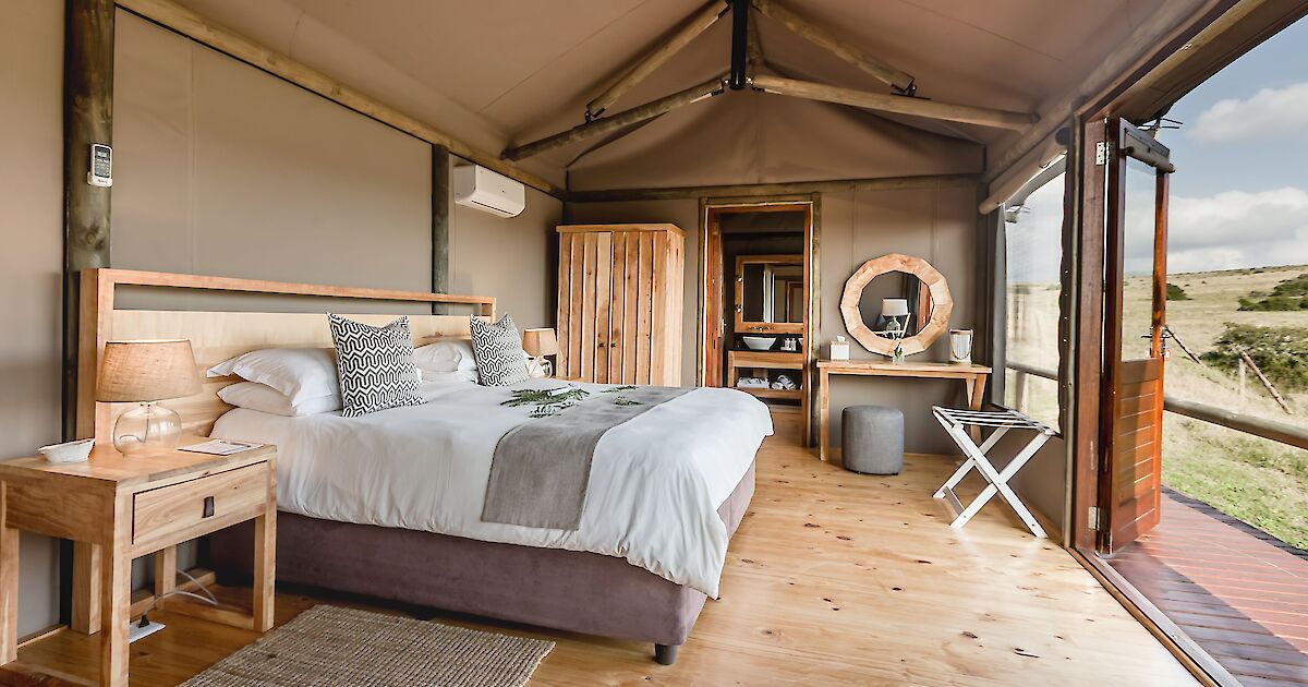 Amakhala Hlosi Game Lodge | Akwaba Afrika Reisen