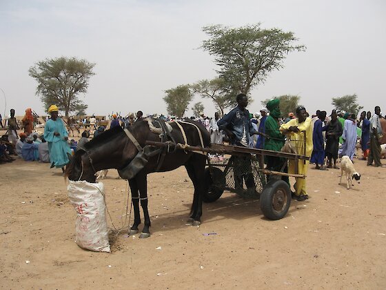 Die Wunder der Sahelzone | Akwaba Afrika Reisen