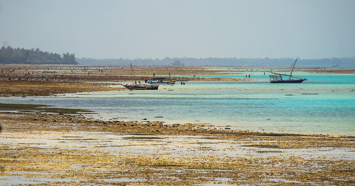 Pemba Island | Akwaba Afrika Reisen