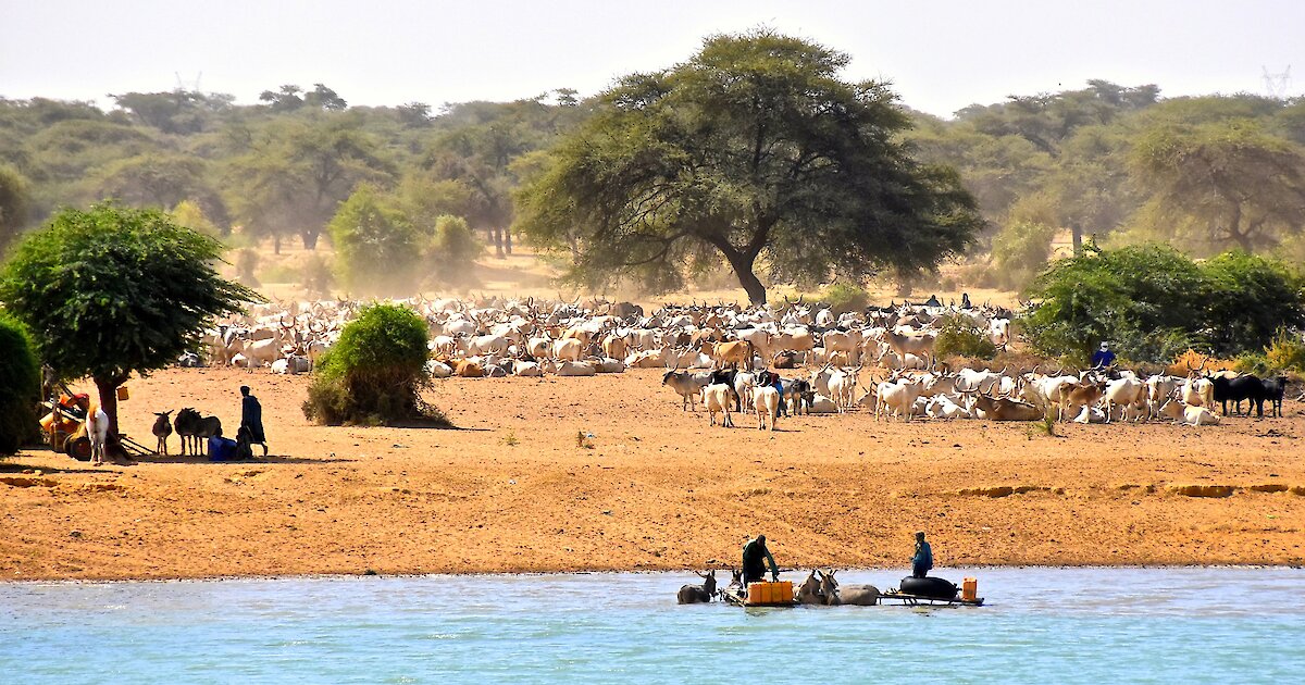 Einblick in das Leben am Senegal-Fluss | Akwaba Afrika Reisen