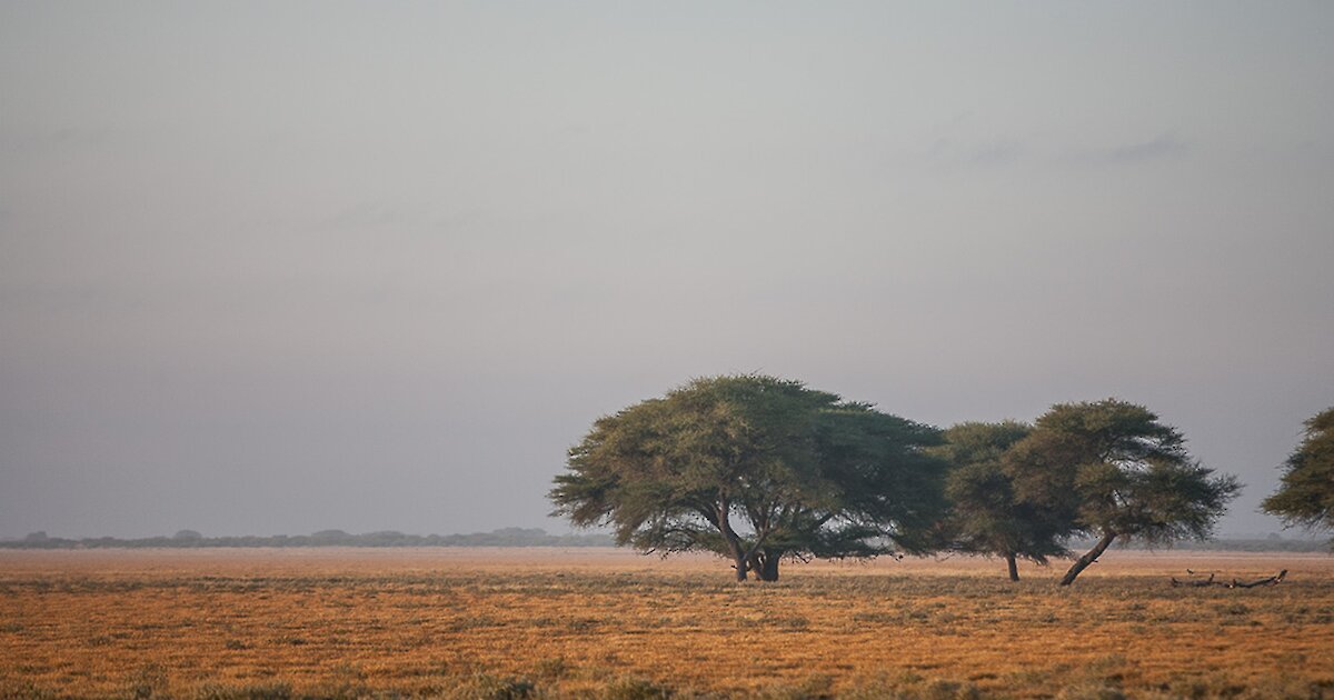 Deception Valley | Akwaba Afrika Reisen