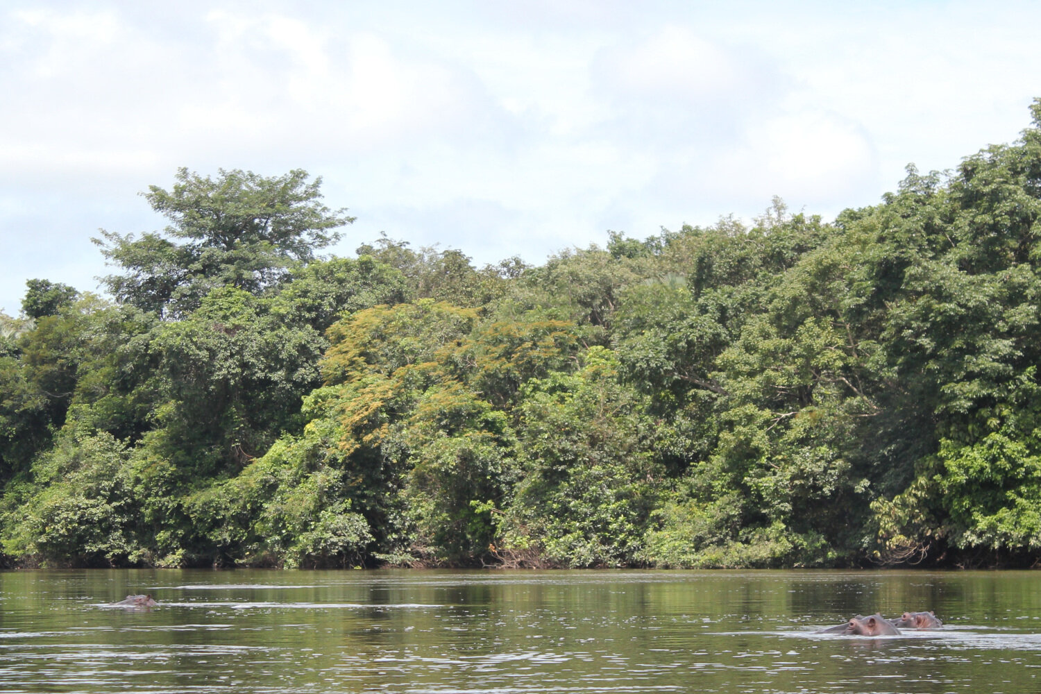 Outamba-Kilimi-Nationalpark | Akwaba Afrika Reisen